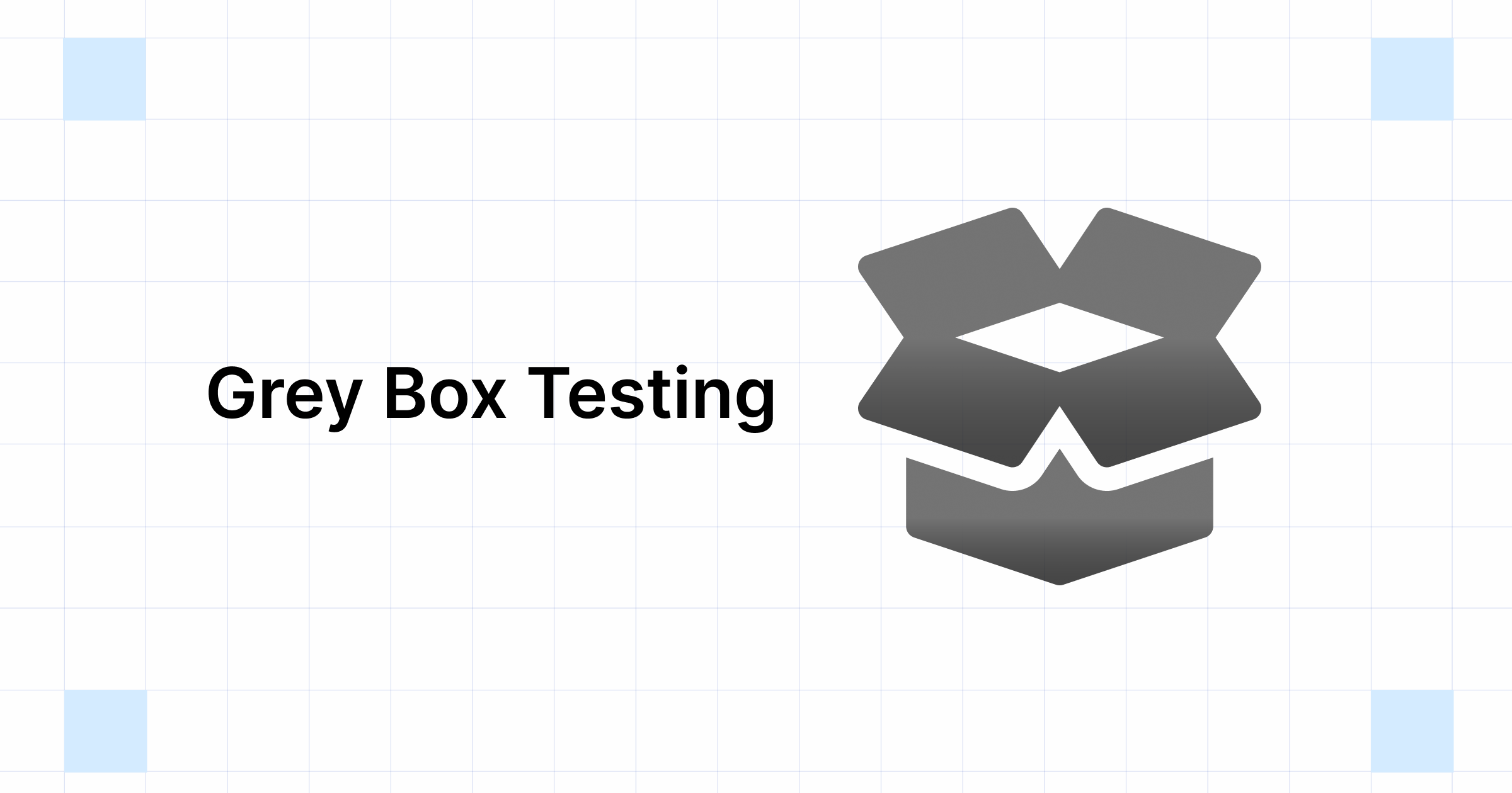 Grey Box Testing: Techniques, Process & Example