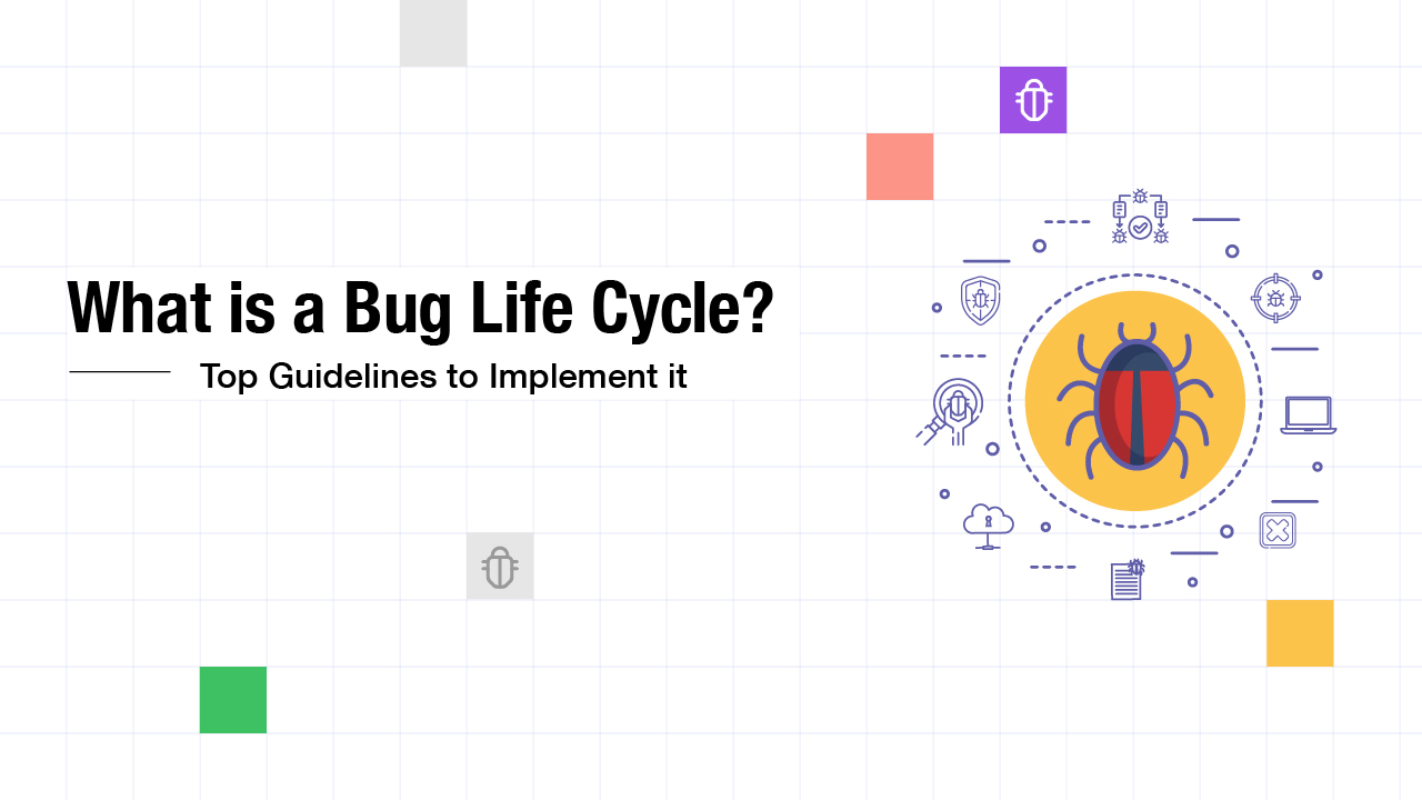 What Is Bug Life Cycle? How to Implement It